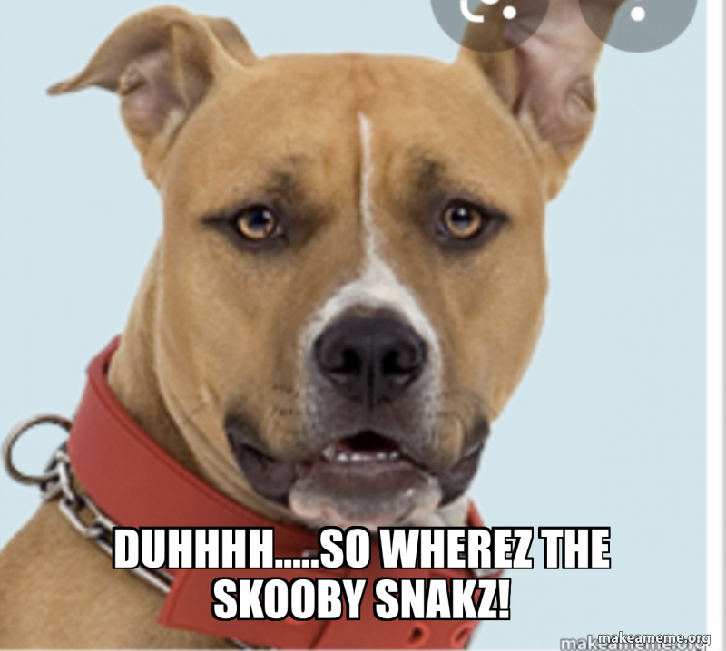 Duhhhh…..so wherez The skooby snakz! Meme Generator