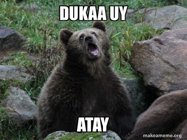 dukaa uy atay - Sarcastic Bear Meme Generator