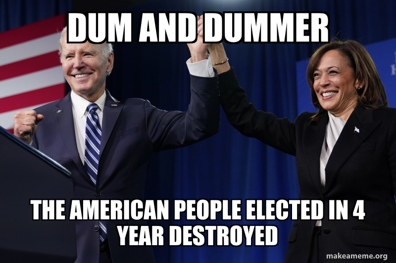 Dum And Dummer The American People Elected In 4 Year Destroyed Meme ...