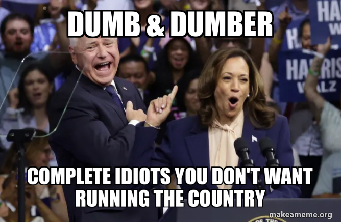 dumb & dumber complete idiots you don't want running the country Meme ...