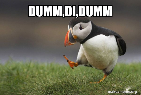 Dumm,di,Dumm - Unpopular Opinion Puffin Meme Generator