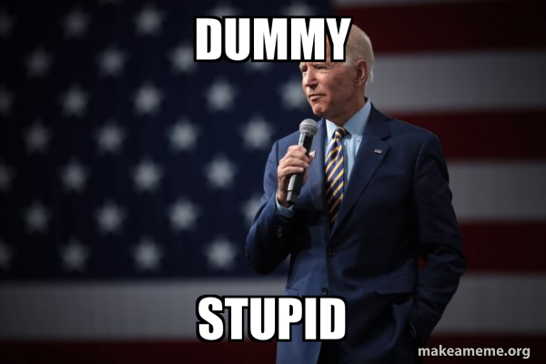 dummy stupid - Joe Biden 2020 Meme Generator