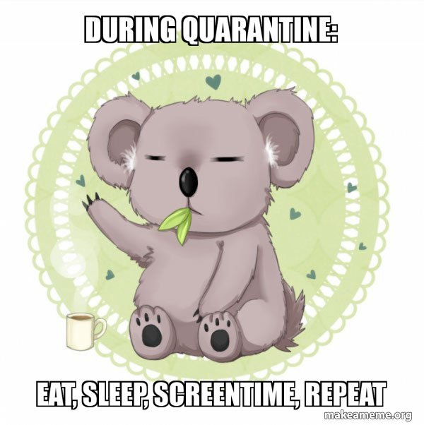 during quarantine: eat, sleep, screentime, repeat - Aussie Koala doing ...