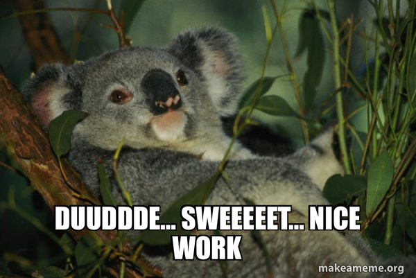 Duuddde… sweeeeet… nice work - Laid Back Koala Meme Generator