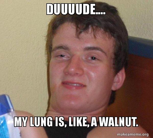 Duuuude.... My lung is, like, a walnut. - [10] guy Meme Generator