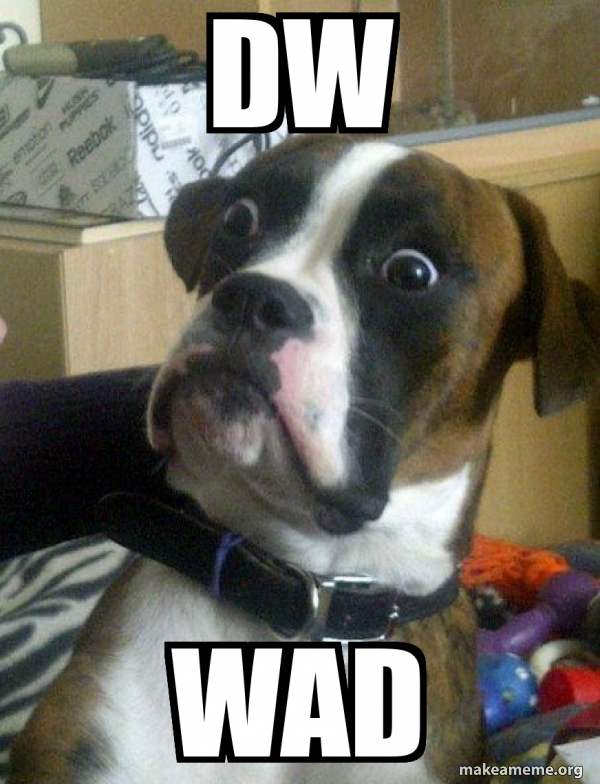 dw wad - Skeptical Dog Meme Generator