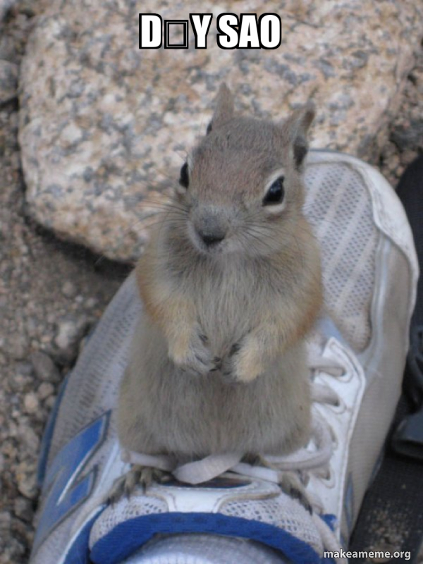 Dậy sao - Standover Squirrel Meme Generator