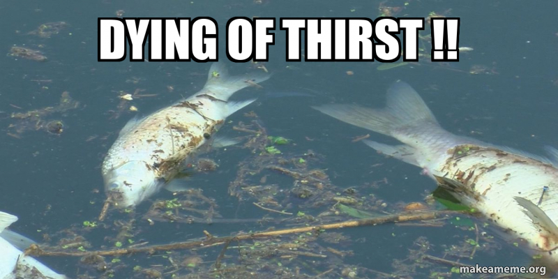 DYING OF THIRST !! Meme Generator