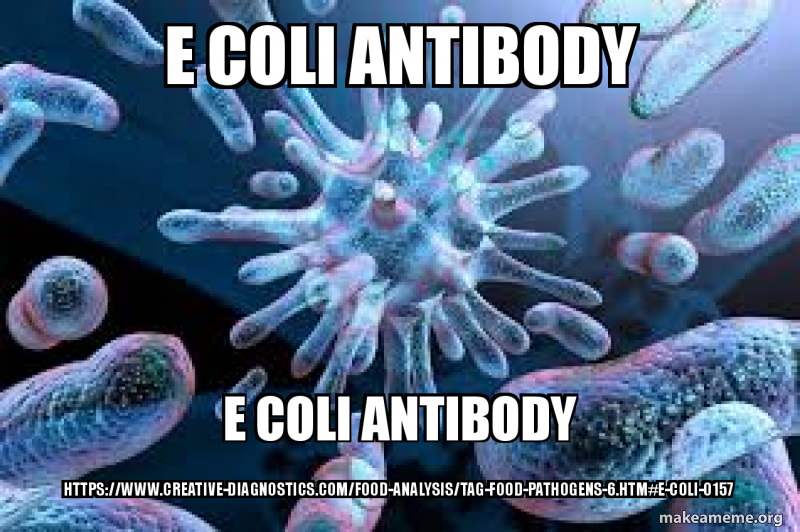 e coli antibody e coli antibody https://www.creative-diagnostics.com ...