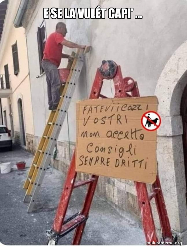 E se la vulét capi' ... Meme Generator