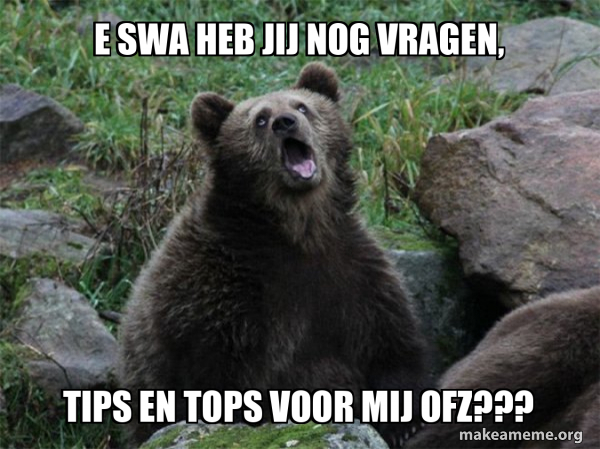 e swa heb jij nog vragen, tips en tops voor mij ofz??? - Sarcastic Bear ...