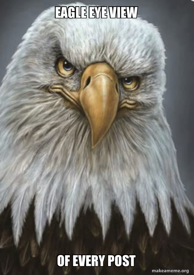 Eagle eye view Of every post Meme Generator