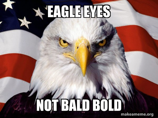 EAGLE EYES NOT BALD BOLD - American Pride Eagle | Make a Meme
