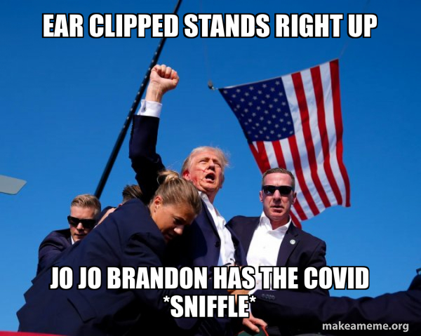 ear clipped stands right up jo jo brandon has the covid *sniffle ...