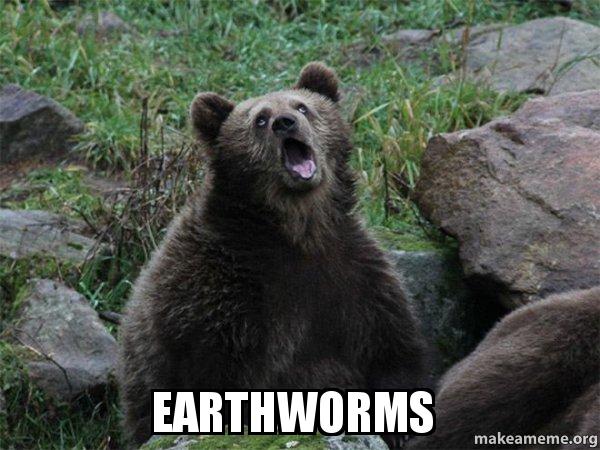 earthworms - Sarcastic Bear Meme Generator