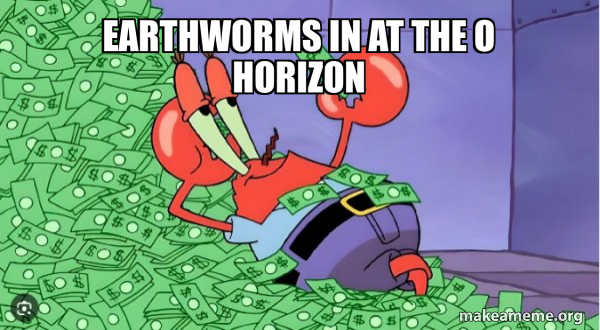 Earthworms in at the O horizon - Mr Krabs Money Meme Generator