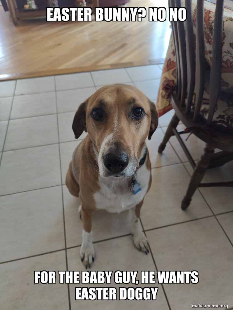 Easter Bunny? No no For the baby guy, he wants Easter doggy Meme Generator