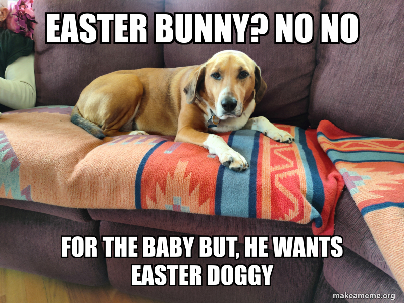 Easter Bunny? No no For the baby but, he wants Easter doggy Meme Generator