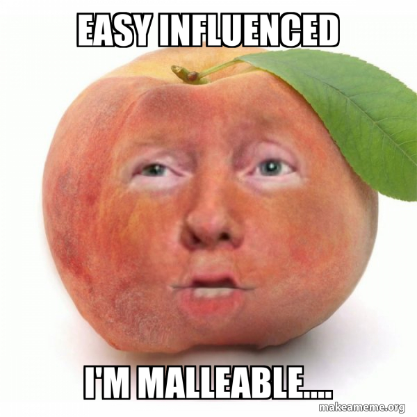 Easy influenced I'm Malleable.... - Impeached Donald Trump Meme Generator