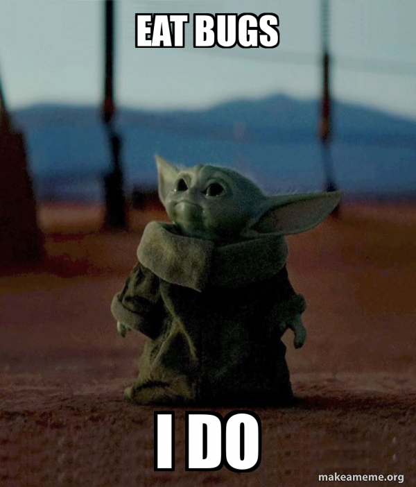 EAT BUGS I DO - Baby Yoda Meme Generator
