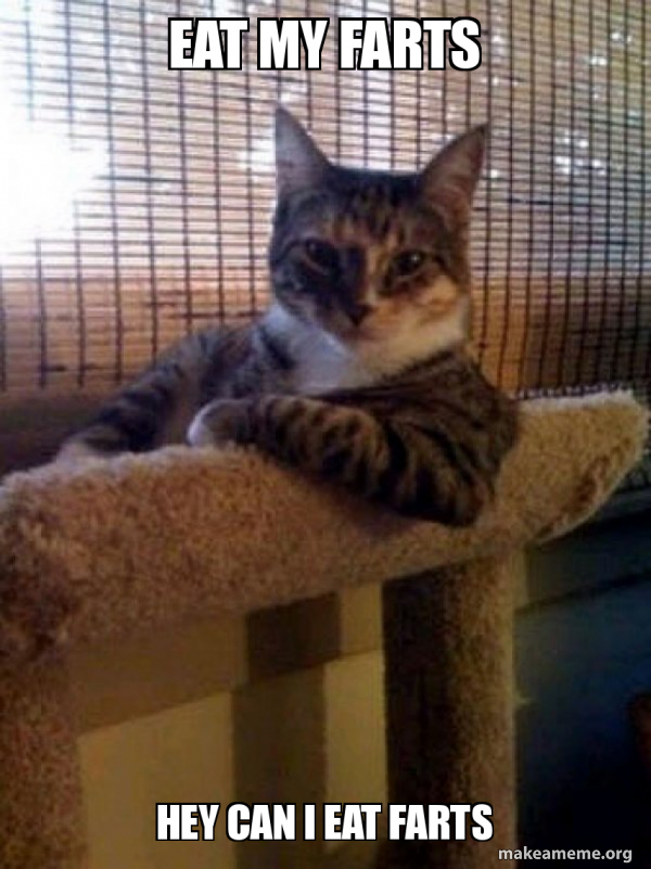 Eat my farts Hey can I eat farts - The Most Interesting Cat in the ...