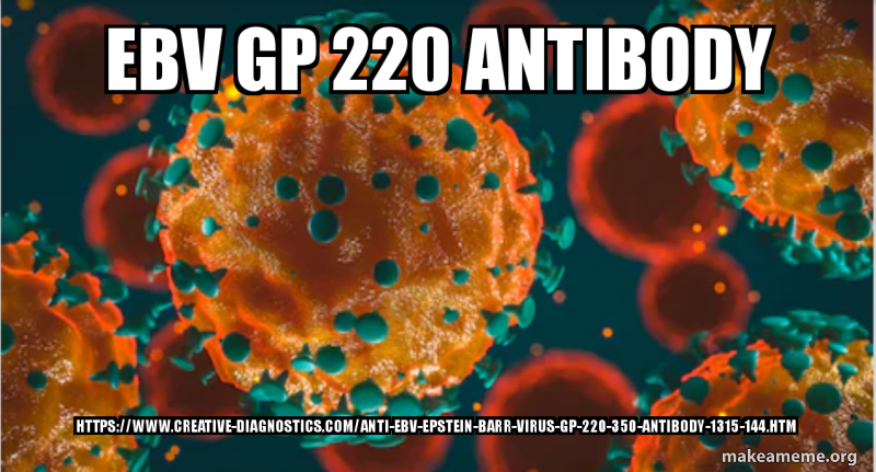 EBV gp 220 Antibody https://www.creative-diagnostics.com/Anti-EBV ...