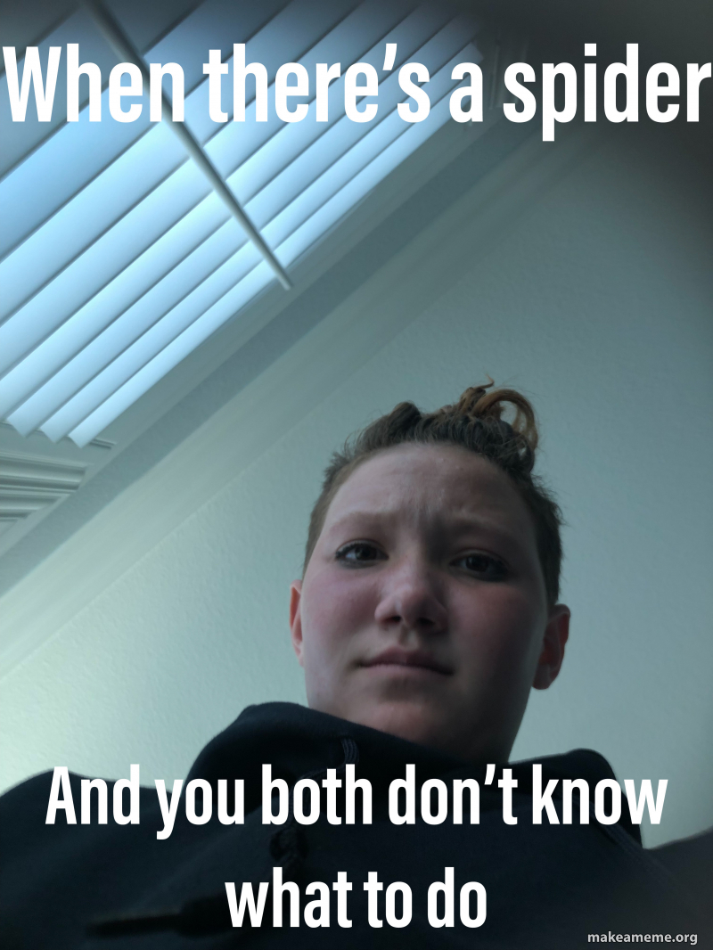 Meme Generator