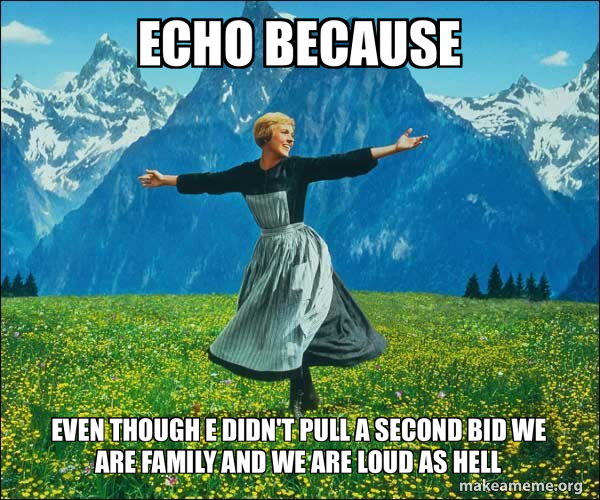 Echo because Even though e didn't pull a second bid we are family and ...