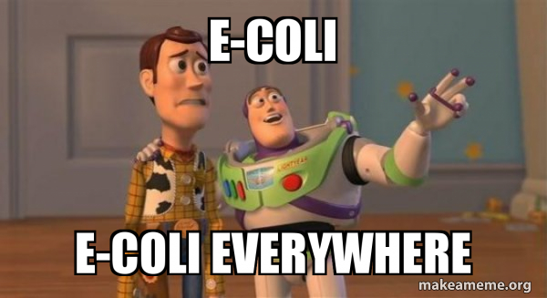 E-coli E-coli Everywhere - Buzz and Woody (Toy Story) Meme Meme Generator