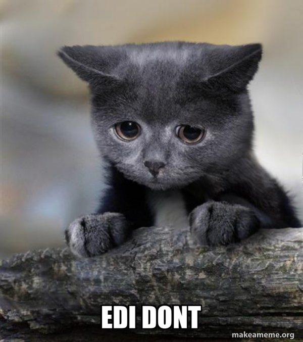 edi dont - Confession Cat | Make a Meme