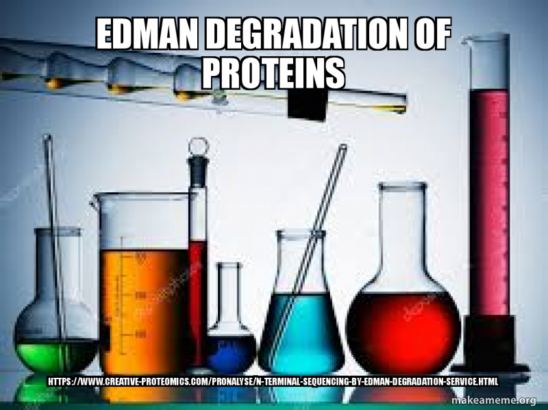 edman degradation of proteins https://www.creative-proteomics.com ...
