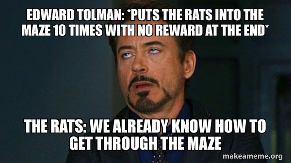 Edward Tolman: *puts the rats into the maze 10 times with no reward at ...