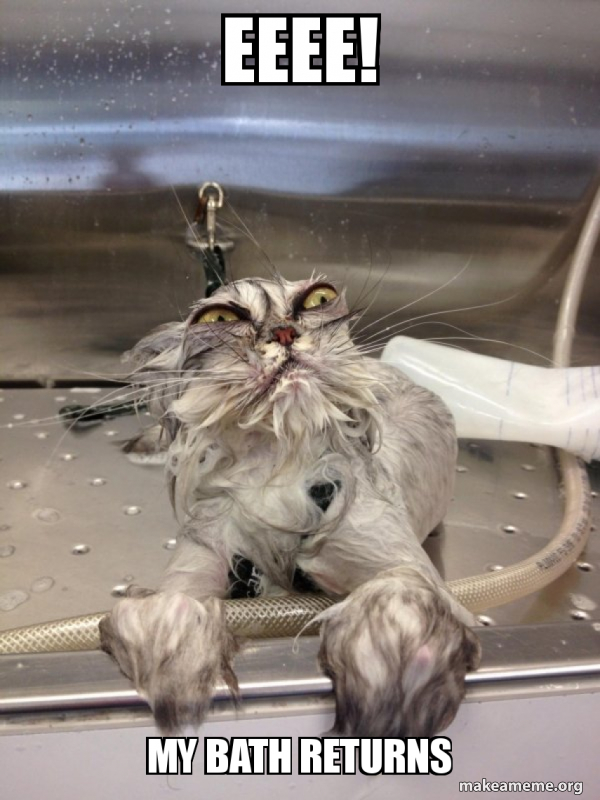 Eeee! My bath returns - Cat Bath Returns Meme Generator