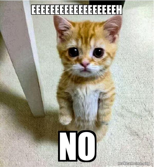 Eeeeeeeeeeeeeeeeeeh No - Cute Cat Standing Meme Generator