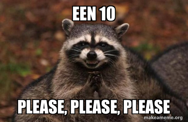 Een 10 Please, please, please - Evil Plotting Raccoon Meme Generator