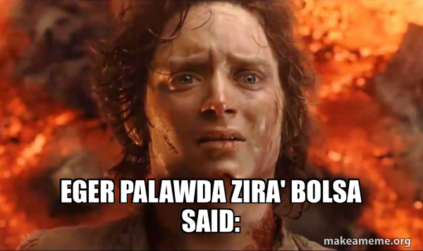 Eger palawda zira' bolsa Said: - Frodo it's over it's done Meme Generator
