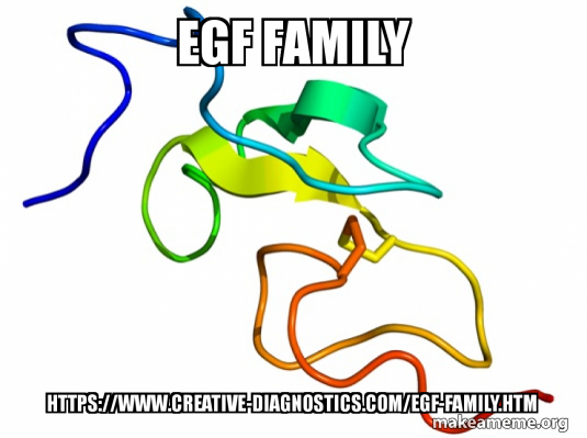 EGF Family https://www.creative-diagnostics.com/egf-family.htm Meme ...