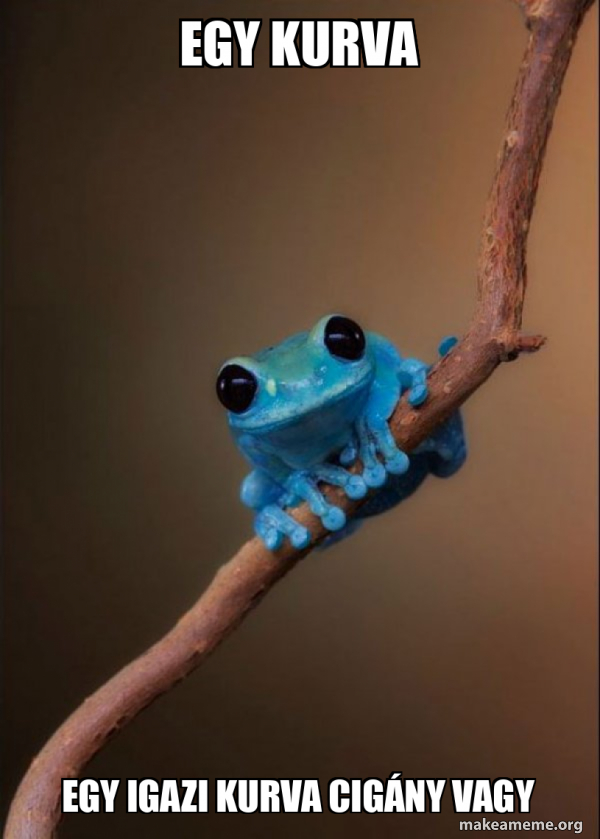 Egy kurva Egy igazi kurva cigány vagy - Small Fact Frog Meme Generator