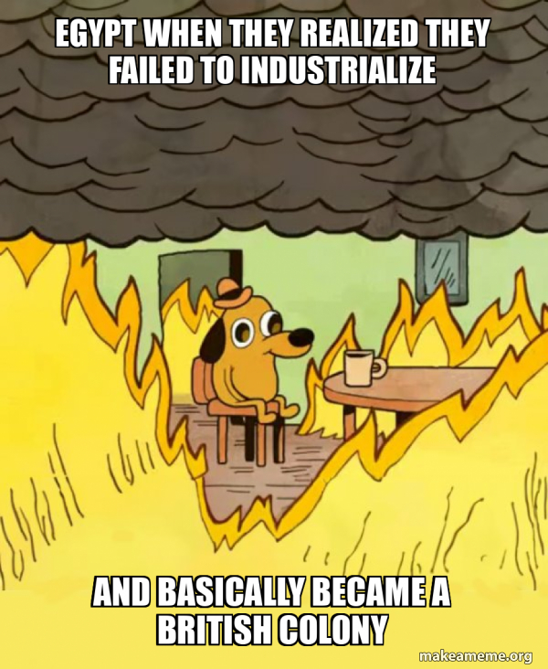 Egypt when they realized they failed to industrialize and basically ...