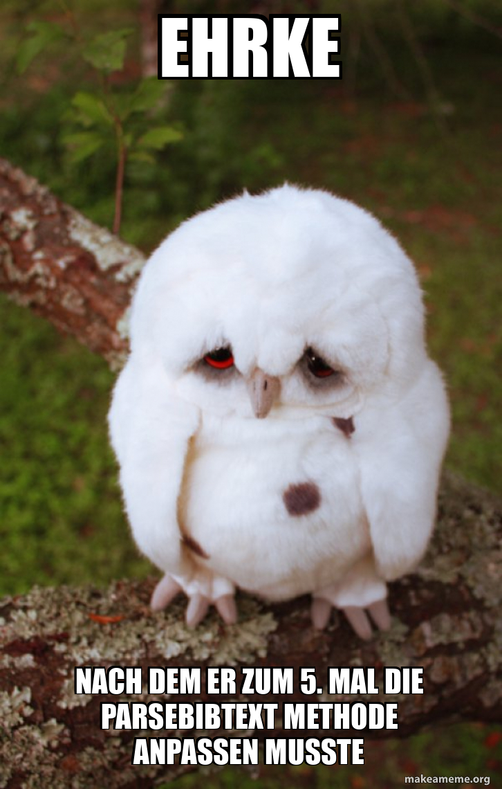 Ehrke nach dem er zum 5. Mal die parseBibText Methode anpassen musste ...