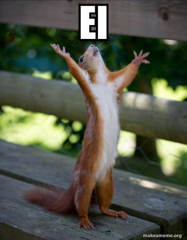 EI - Happy Squirrel Meme Generator