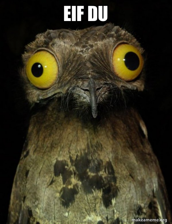 Eif du - Weird Stuff I do Potoo Meme Generator