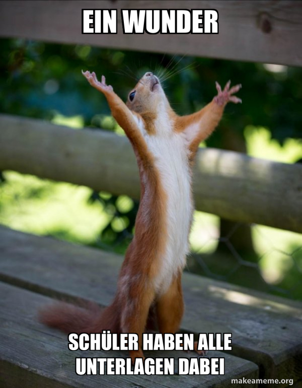 ein wunder Schüler haben alle Unterlagen dabei - Happy Squirrel Meme ...