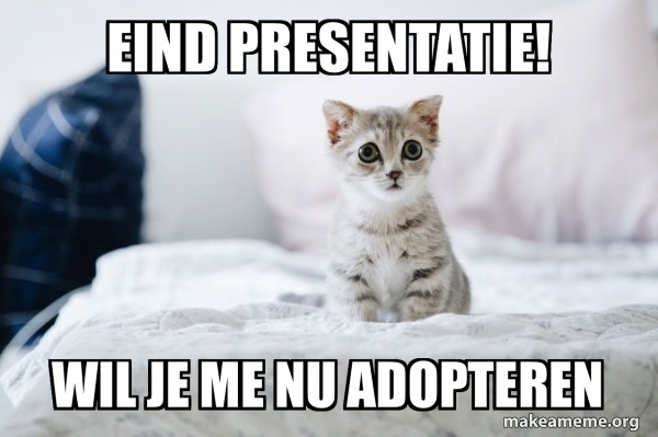 Eind presentatie! wil je me nu adopteren - Cute Kitten Meme Generator