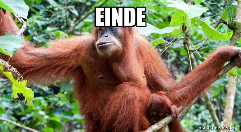 einde Meme Generator