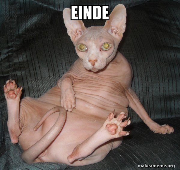 einde - Hairless Cat Meme Generator