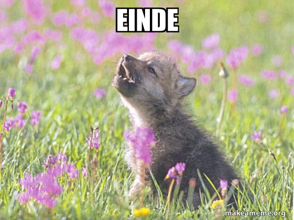 einde - Baby Insanity Wolf Meme Generator