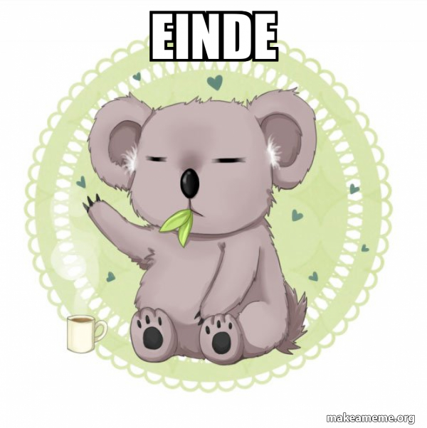 Einde - Aussie Koala doing the night shift Meme Generator