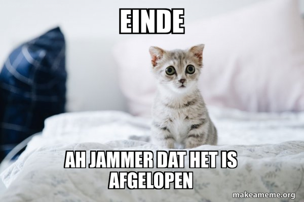 einde ah jammer dat het is afgelopen - Cute Kitten Meme Generator