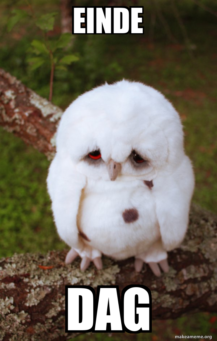 einde dag - Sad Owl Meme Generator